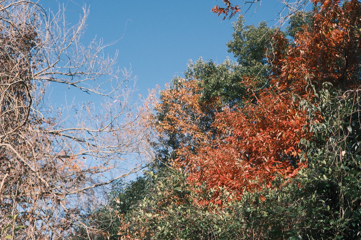 シオカワコウタロウ(@murakage_photo) - Twilog (ツイログ)