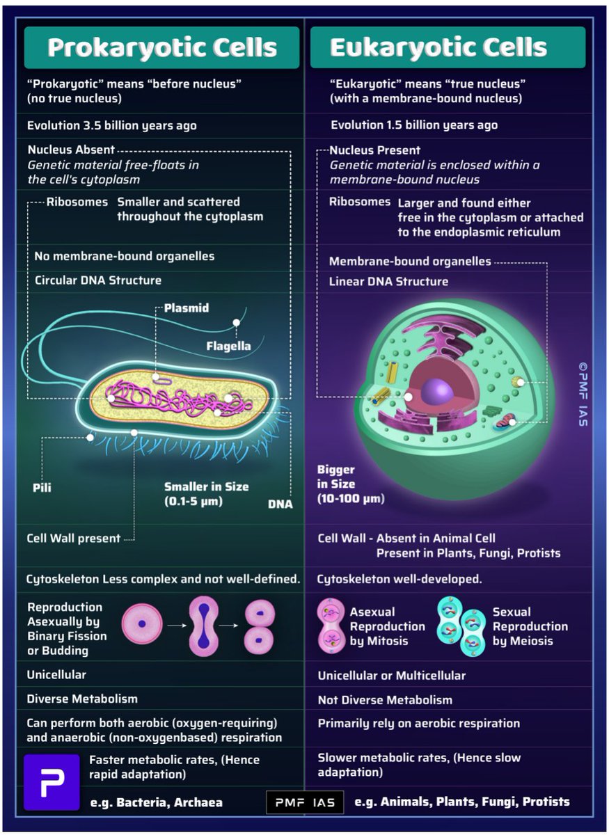 Prokaryotic Vs Eukaryotic Cells Prokaryotic Cells Vs. Eukaryotic Cells