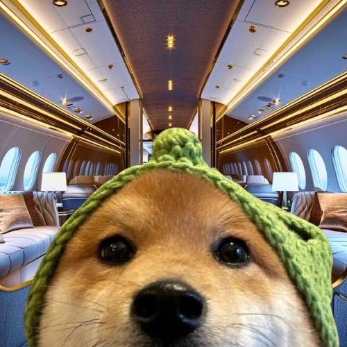 Jet Life Memes F 16 Living Plane Meme By UPEOPilotJumbo On
