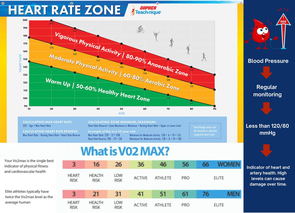 This is Dr. Peter Attia. The genius who cracked the code on aging. Do ...