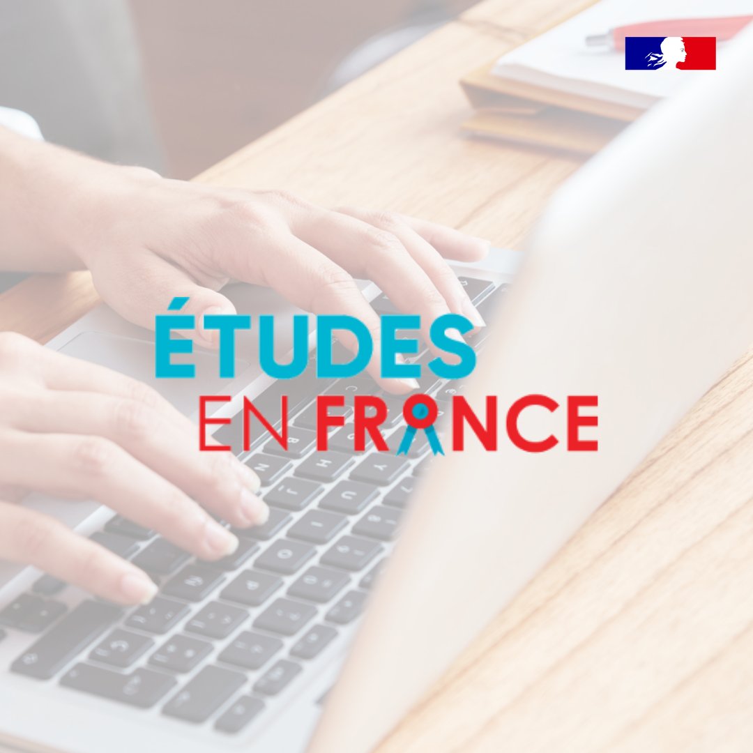 Etude En France Diplomatie