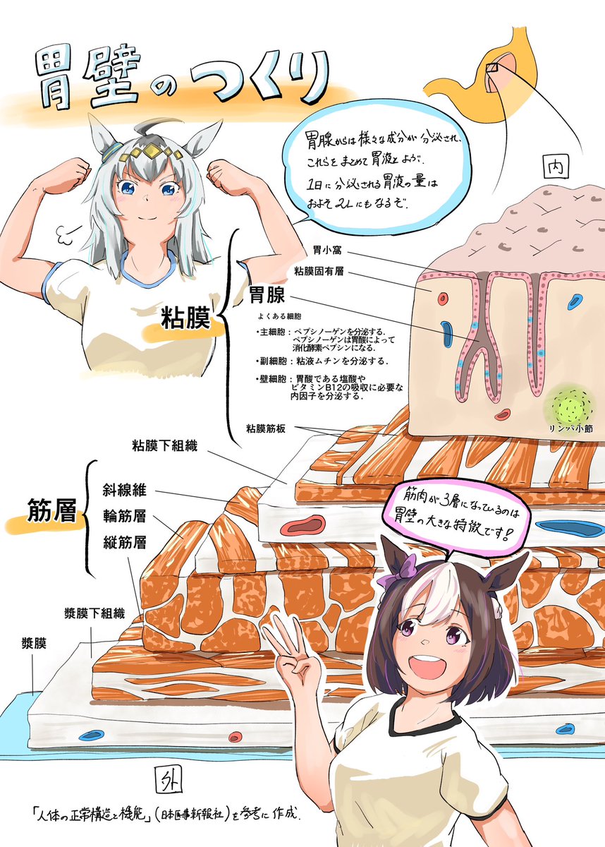 「これまでの人体の話1: 心臓 冬コミの本に載ってます♡ 」しゅ_shu【C106西お51a】の漫画