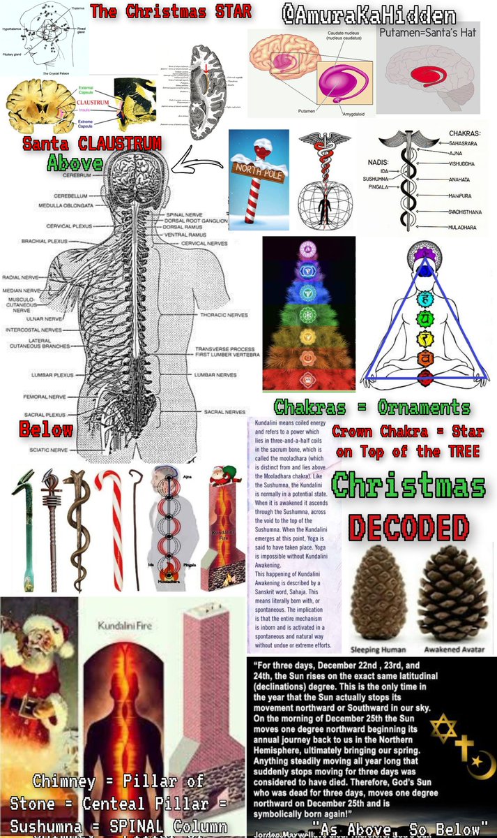 Thread by @AmurakaHidden on Thread Reader App – Thread Reader App