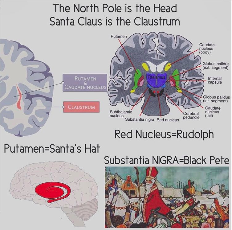 Thread by @AmurakaHidden on Thread Reader App – Thread Reader App