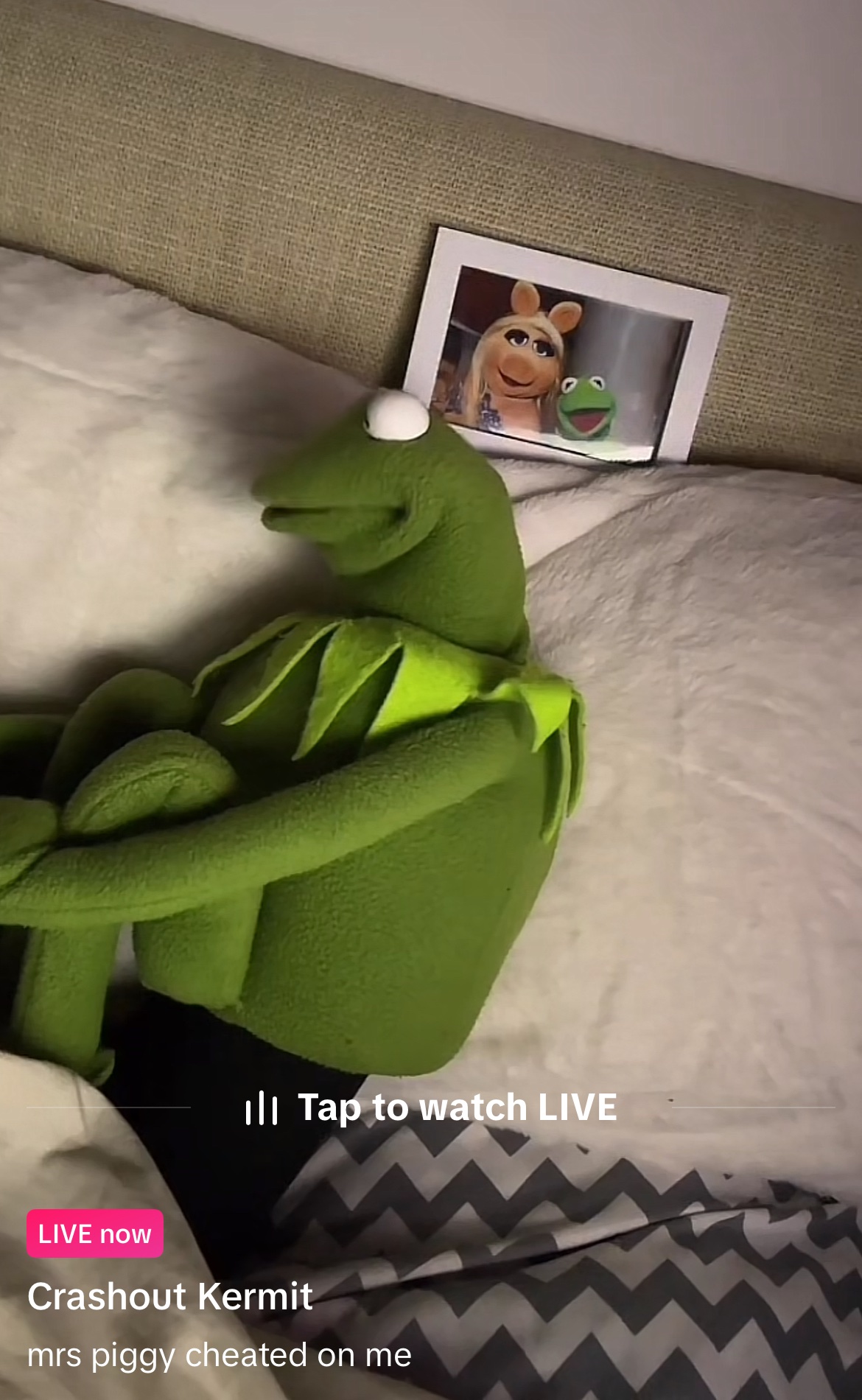 Kermit The Frog Couch Meme Kermit Memes Kermit Memes Added A New