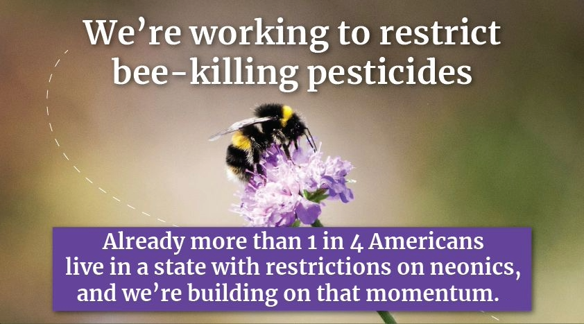 Killing Bee Pesticidesuotes Bees Take On Bomb Detection! 🐝💣,