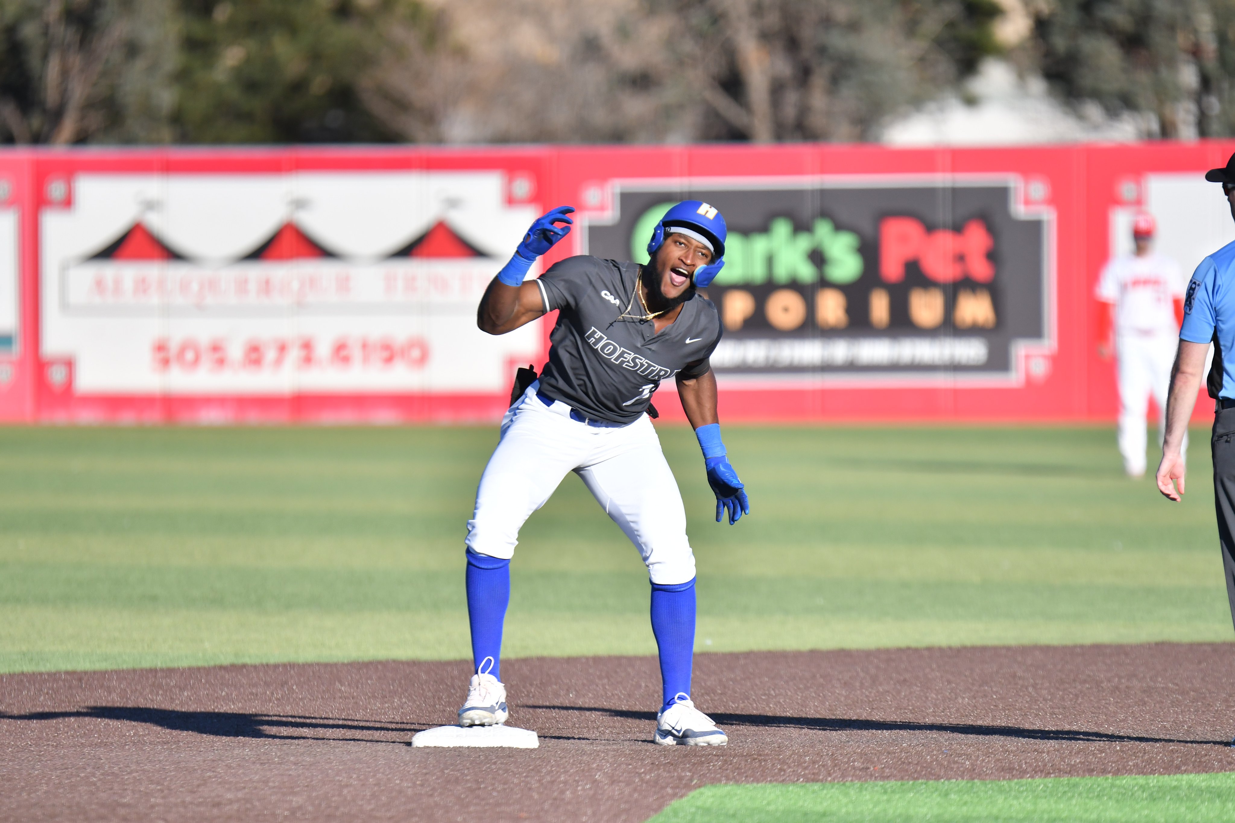 Hofstra Baseball HofstraBaseball X