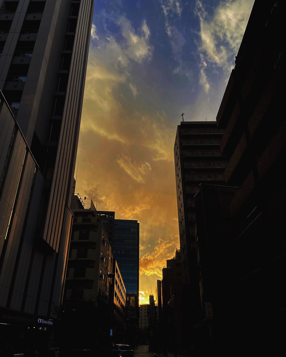 布施雄一郎(@MRYF1968) - Twilog (ツイログ)