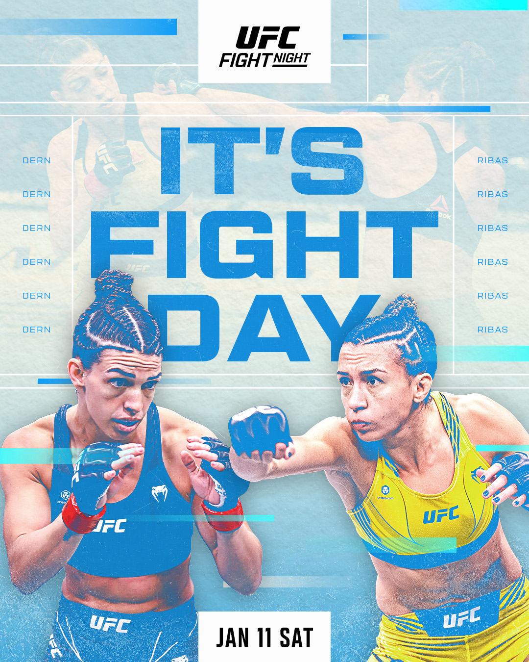Ufc Female Fighters Poster