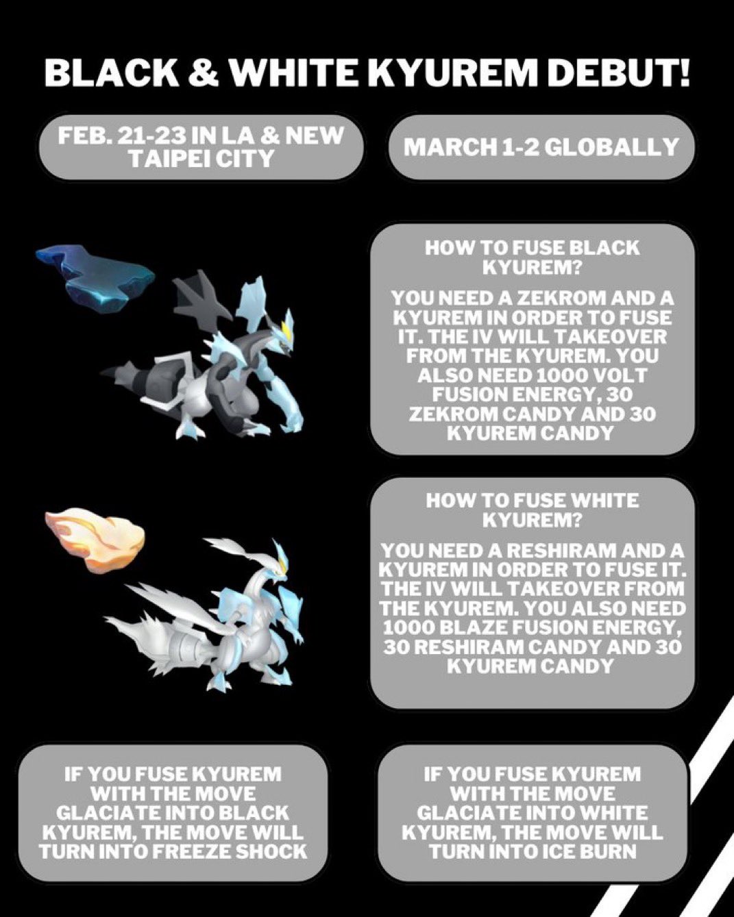 Zekrom Infographic