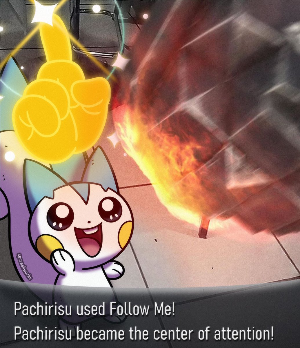 Pokemon Pachirisu Memes Third Dawn's Pokemon Contest Performance