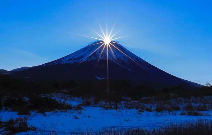 🎼 桃姫きゃる:||(@ppcal_calace) - Twilog (ツイログ)