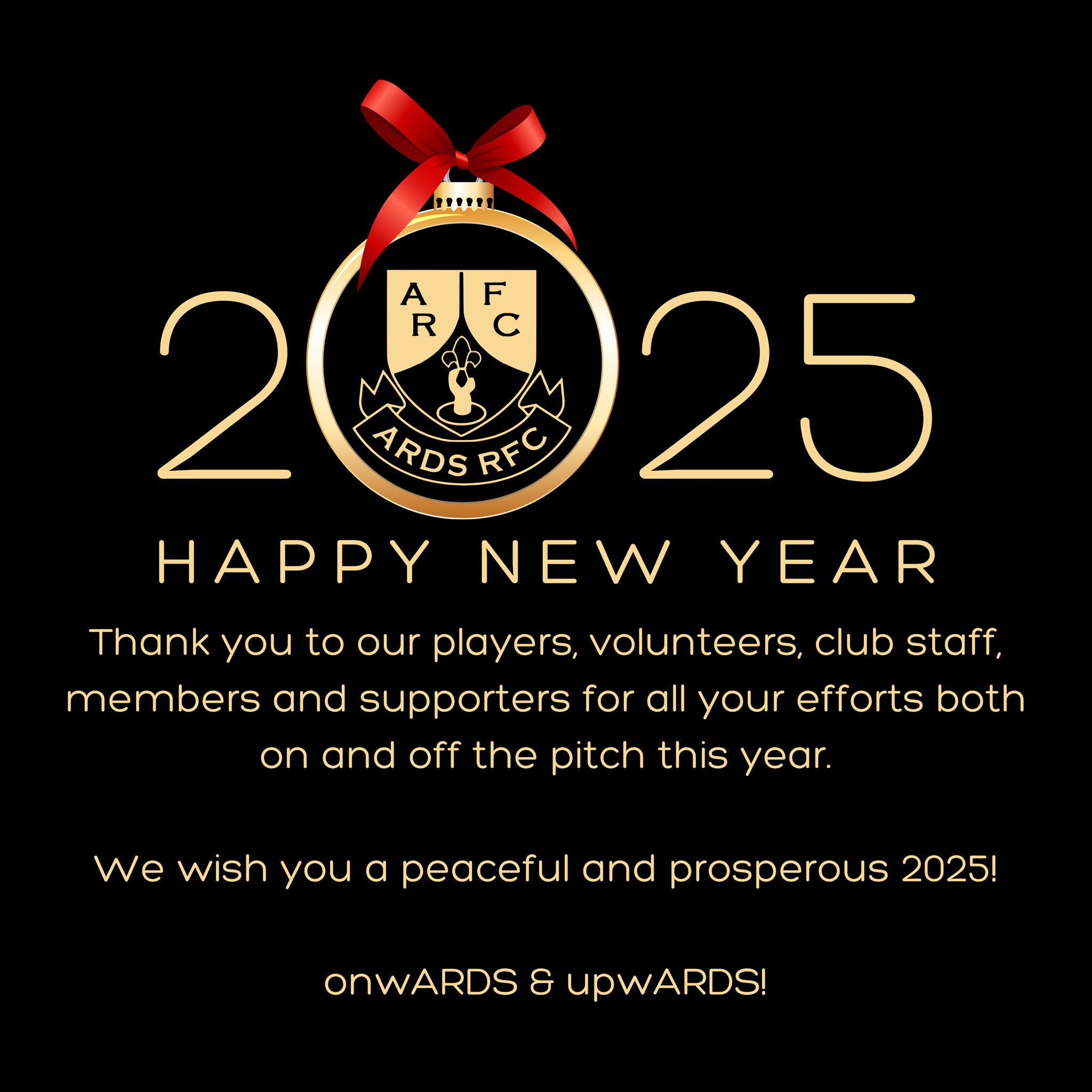 Ards Logo New Independent Members Appointed To Causeway Coast And