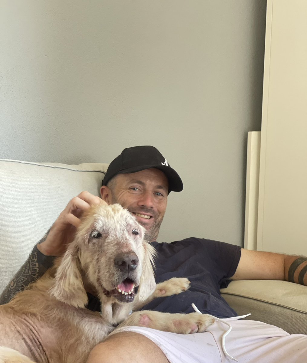 Niall Harbison's Threads – Thread Reader App