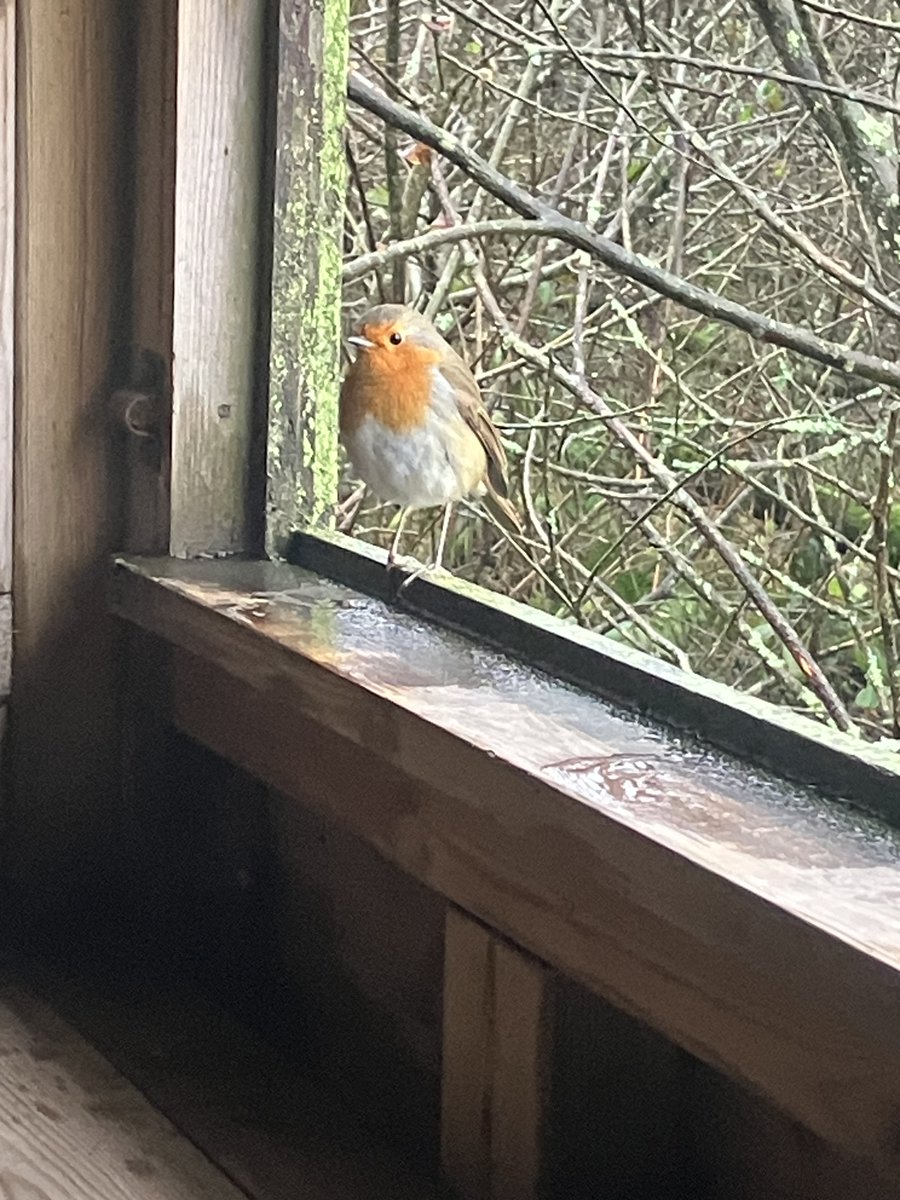 Detailed Survey Method - Cornwall Birds (CBWPS)