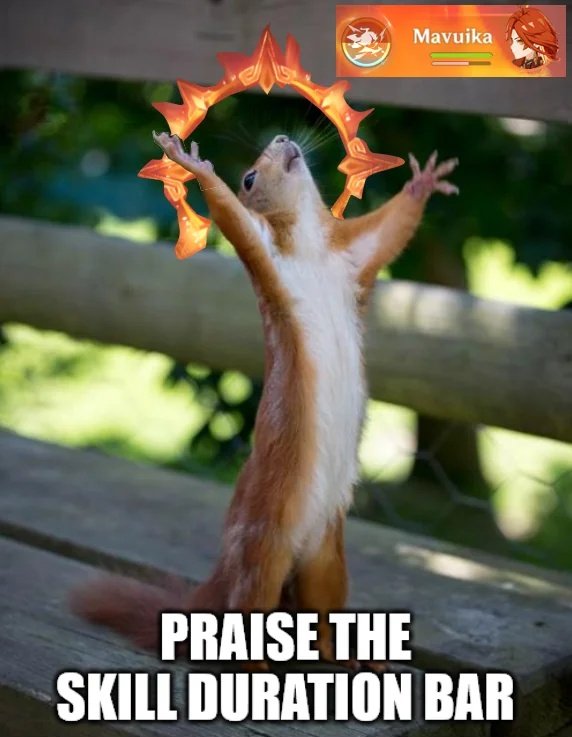 Squirrel Praise Memes