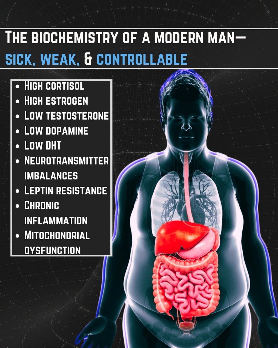 THE ULTIMATE GUIDE TO MUSCLE GROWTH Although exercise is important ...