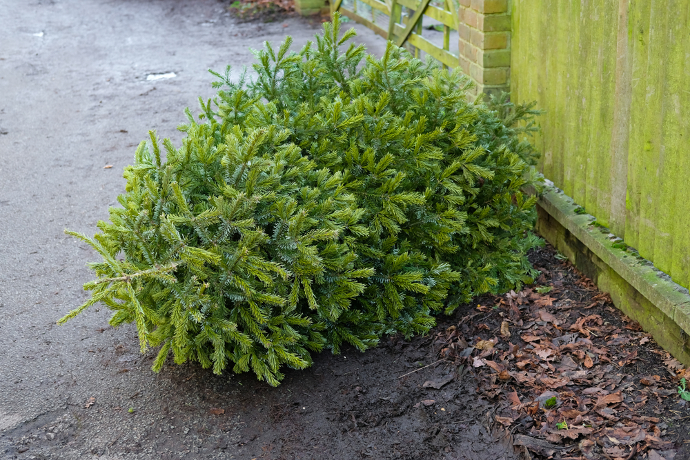 Thames View Infants | Academy