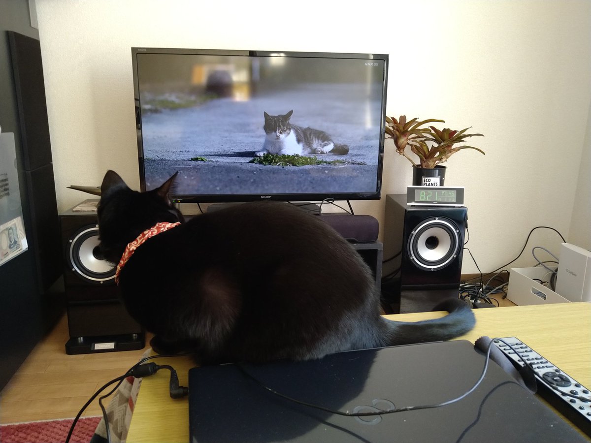 スーさん(@su_03) - Twilog (ツイログ)