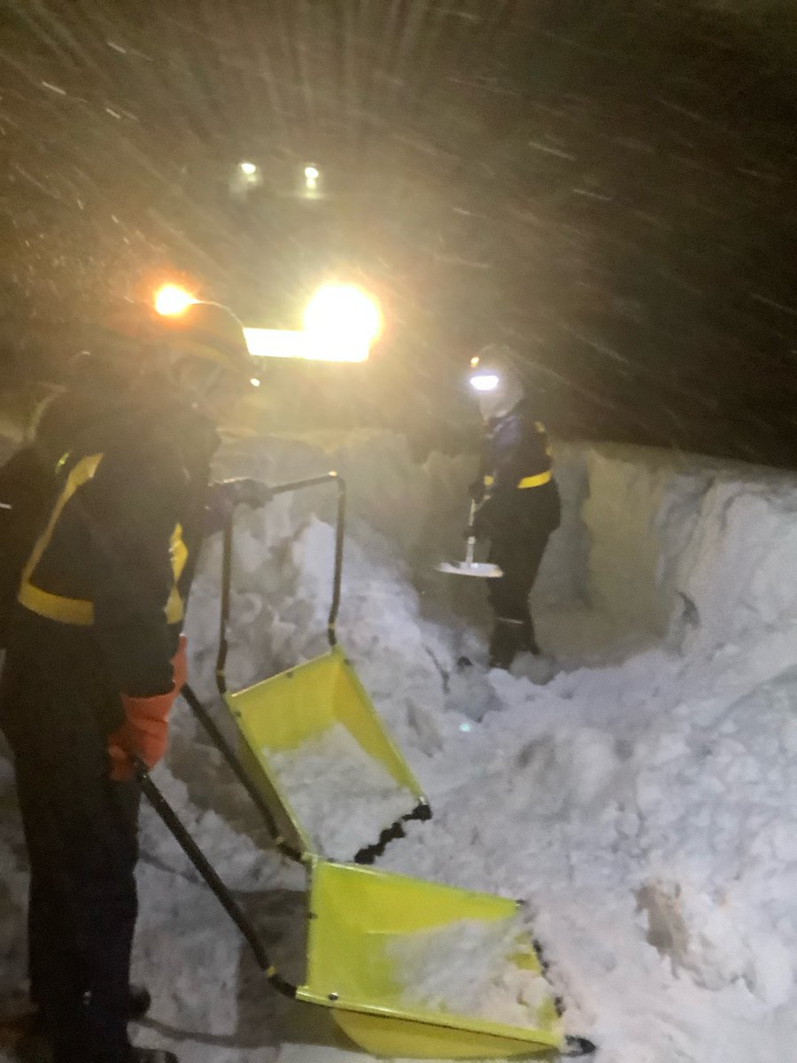 理彩(@allred_risa) - Twilog (ツイログ)