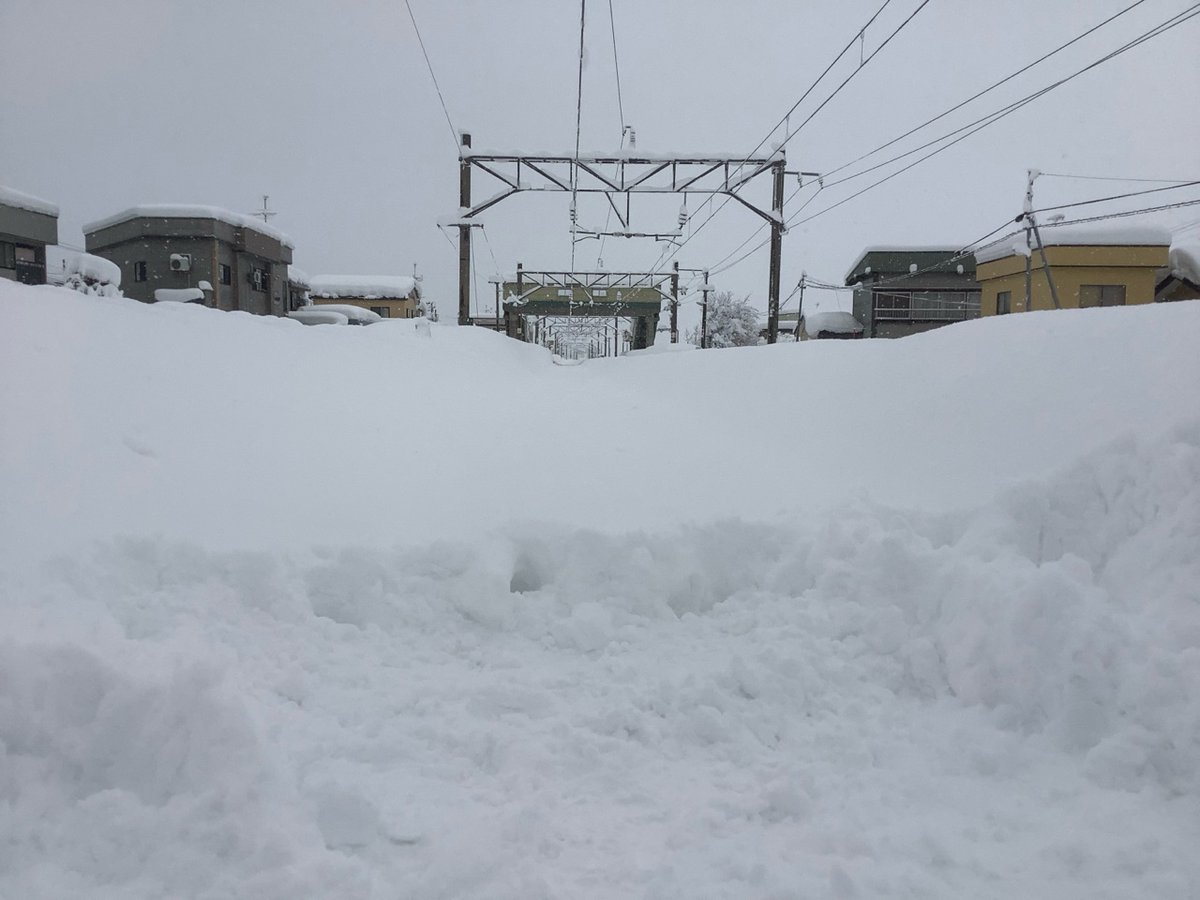 理彩(@allred_risa) - Twilog (ツイログ)