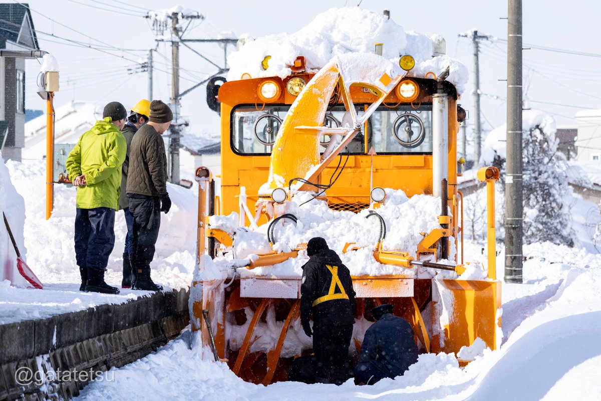 理彩(@allred_risa) - Twilog (ツイログ)