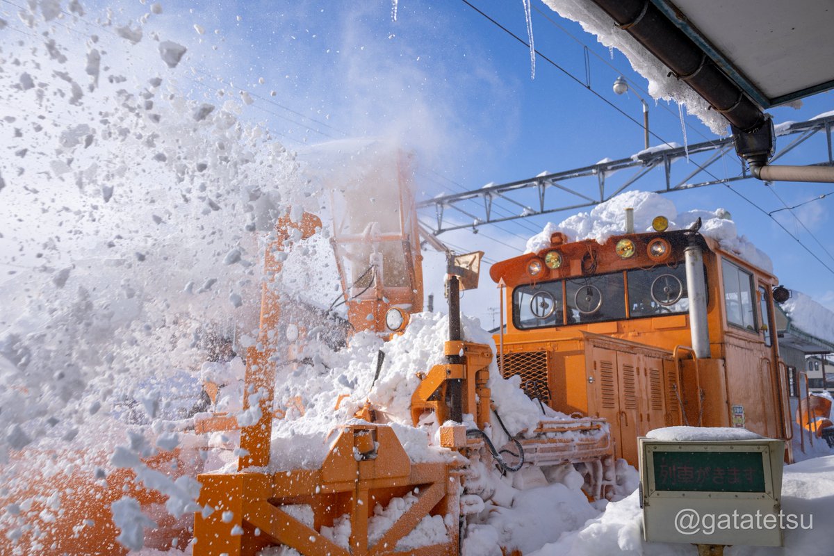 理彩(@allred_risa) - Twilog (ツイログ)