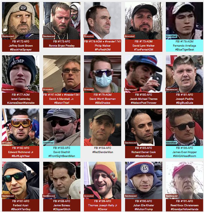 Sedition Hunters have posted lists of J6 terrorists who either need to ...