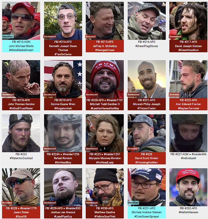 Sedition Hunters have posted lists of J6 terrorists who either need to ...
