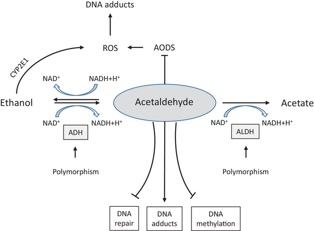 Thread by @Mitopapi on Thread Reader App – Thread Reader App