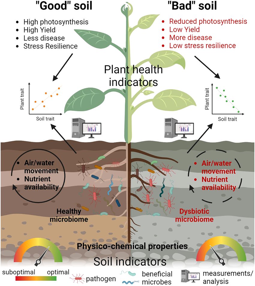 Thread by @Mitopapi on Thread Reader App – Thread Reader App