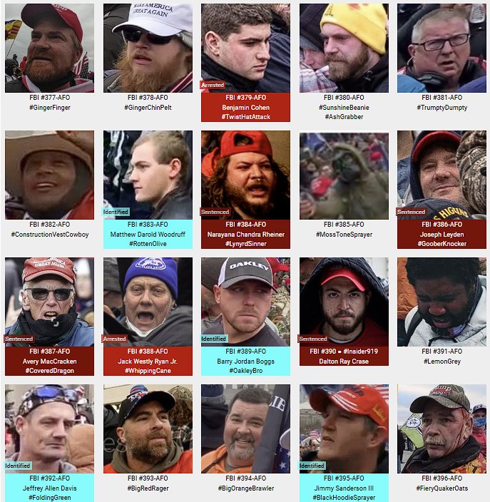 Sedition Hunters have posted lists of J6 terrorists who either need to ...