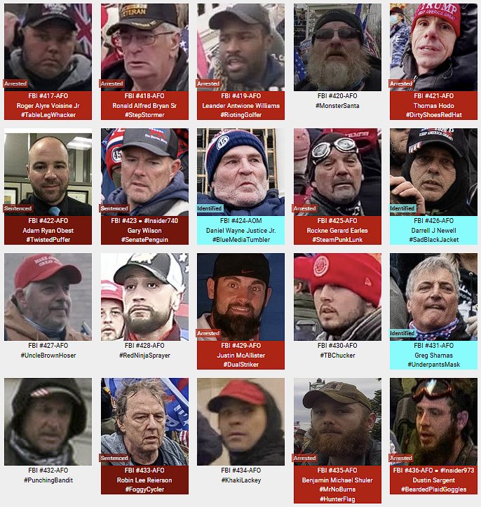 Sedition Hunters have posted lists of J6 terrorists who either need to ...