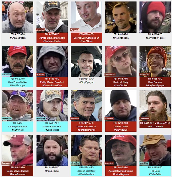 Sedition Hunters have posted lists of J6 terrorists who either need to ...