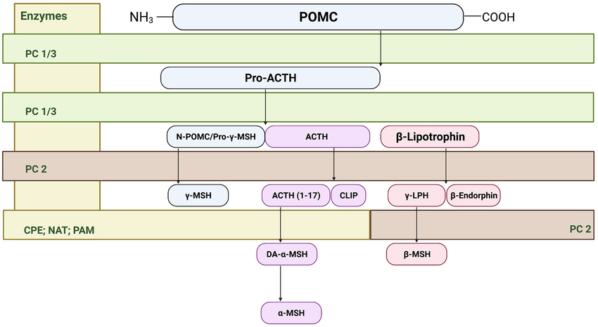 Your skin deserves better than Psoriasis, early photoaging, Eczema and Acne. If you're spending ...