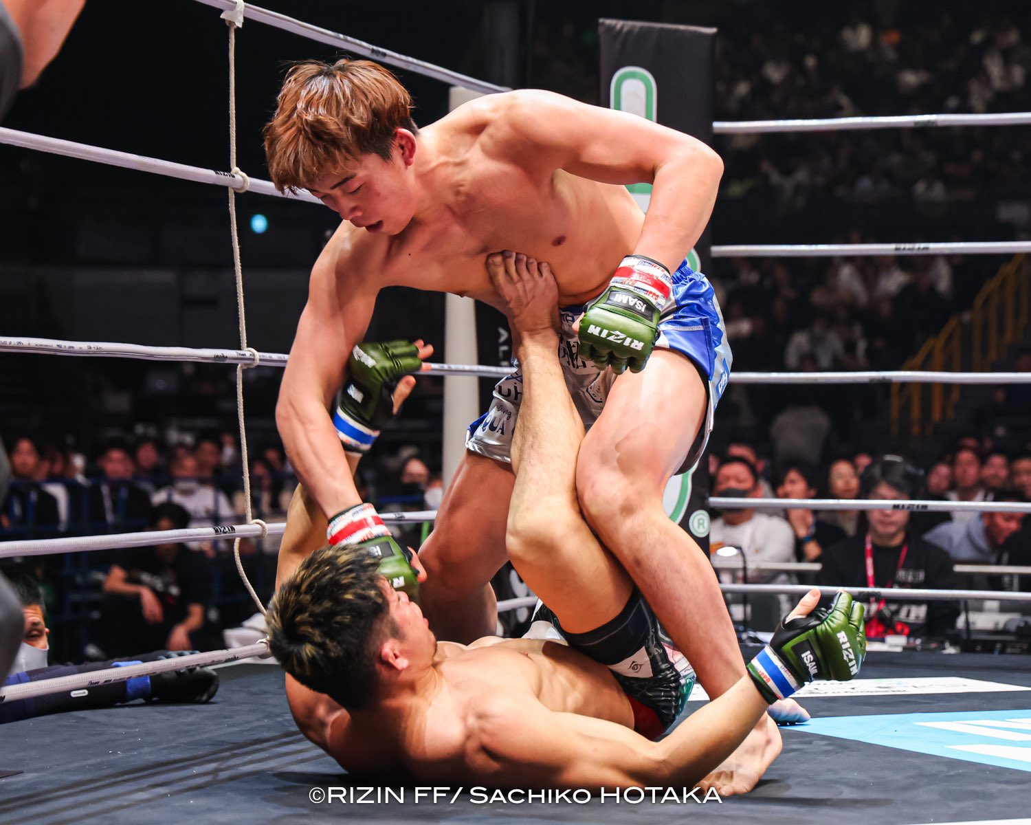 Sachiko HOTAKA レスリングとRIZIN 保高幸子 on X: Sachiko HOTAKA レスリングとRIZIN 保高幸子 on X: