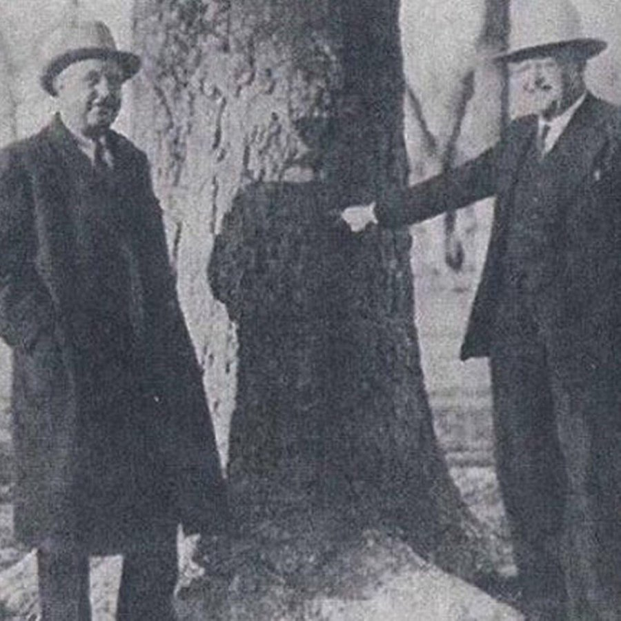 🧵15 Incredible coincidences that seem impossible, but really happened ...