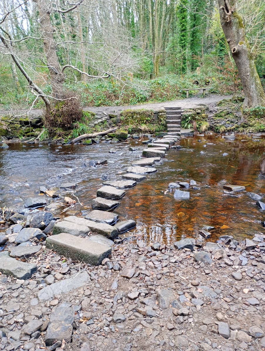 RVCG – Protecting the Rivelin Valley