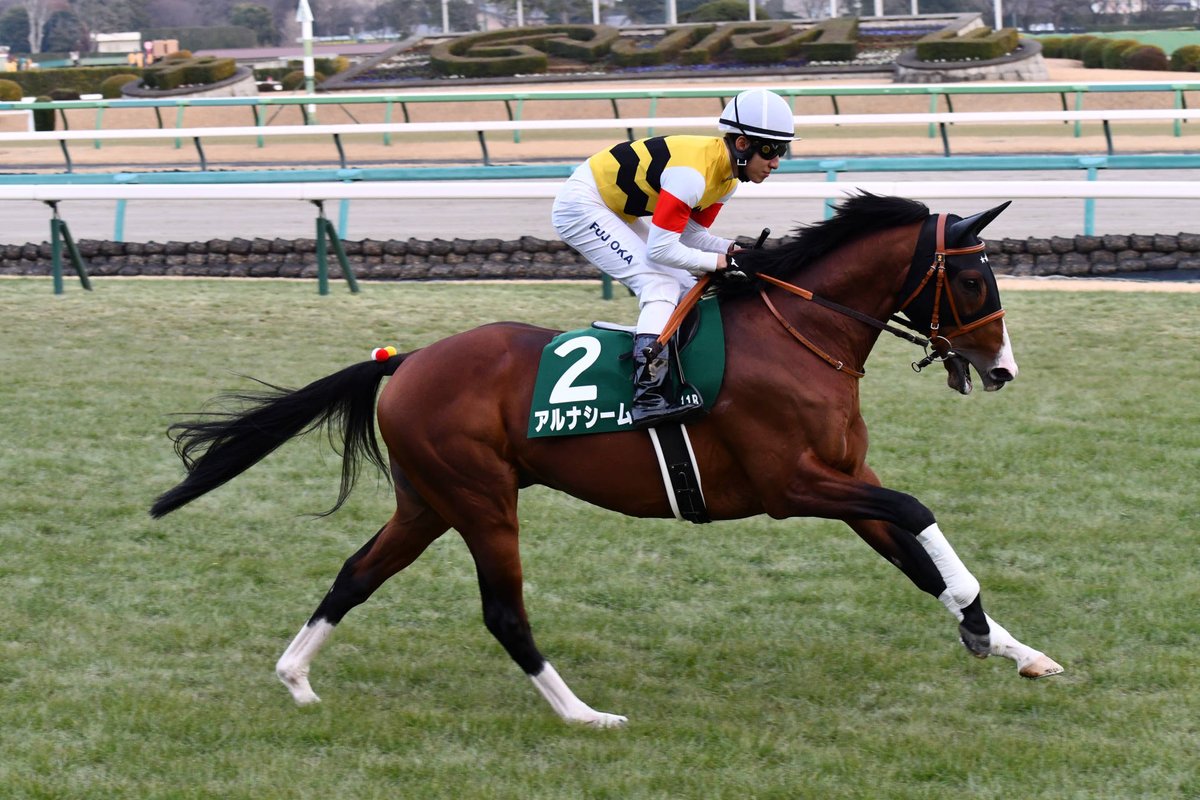 茶畑相談役(@chabata_k) - Twilog (ツイログ)