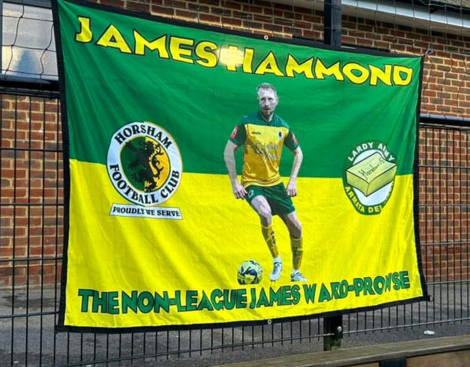 Horsham U18s march on in the Isthmian Youth League - Horsham Football Club