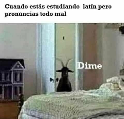 Estudiando Meme El Titulo Esta Estudiando Meme By Dieguette :)