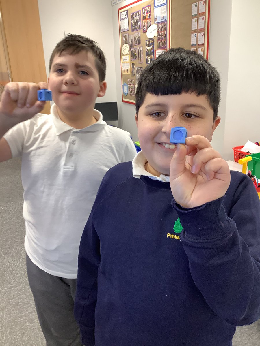 Adelaide Primary School - Hull