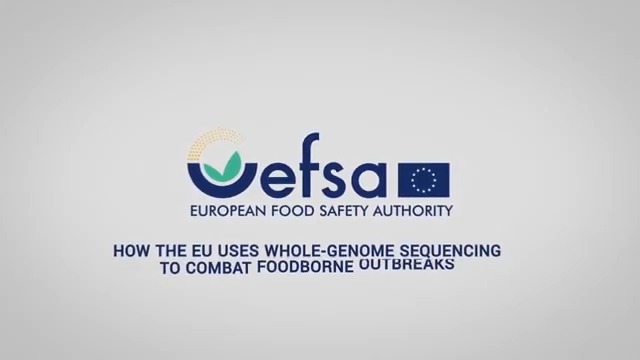 European Food Safety Logo SAFE – Safe Food Advocacy Europe