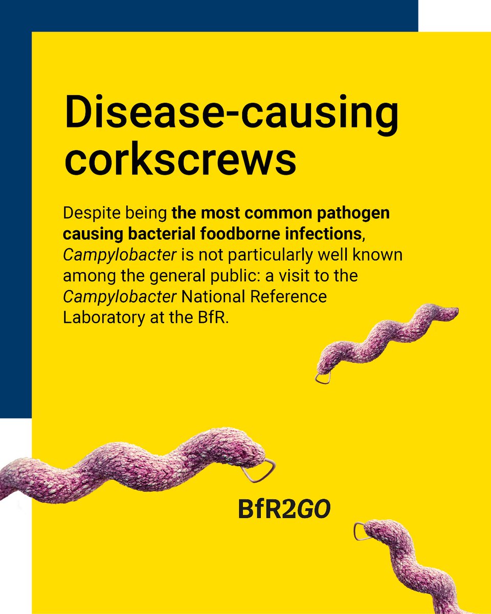 BfR | German Federal Institute for Risk Assessment @bfren profile ...