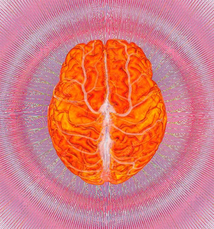 This is Dr. Gail Matthews. A renowned psychologist & the hidden genius ...