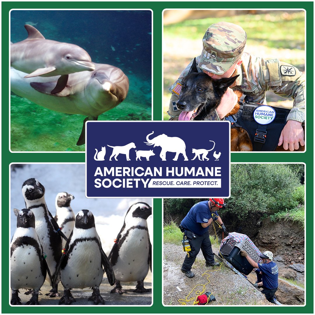 American Humane Association Logo American Humane Association Logo (#1)