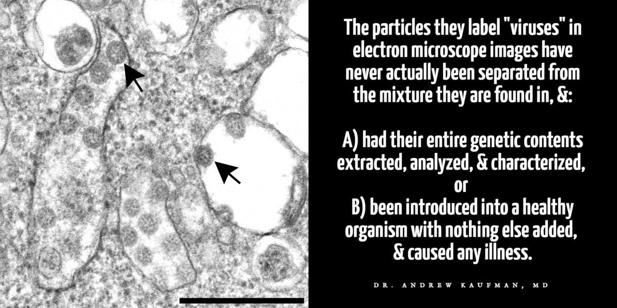 (1/28) 🚨⚠️ Virology is a Sham — Explained for Every Attention Span I’ve ...