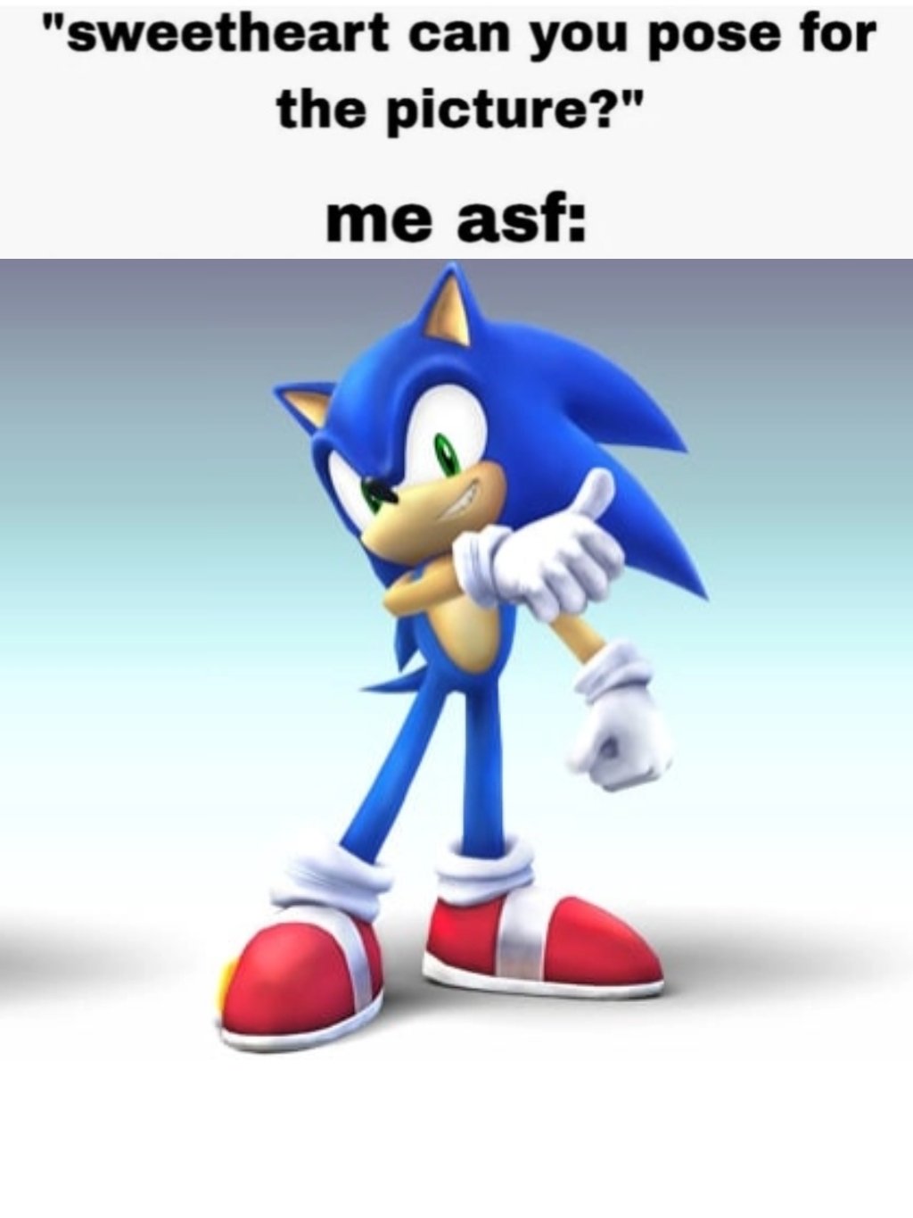 Sonic Brawl Memes Sanic | CONTINUED: The Sonic Oddities Wiki | Fandom