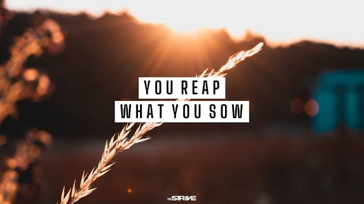 Reap Quotes Galatians 6:7 8 Be Not Deceived; God Is Not Mocked: For