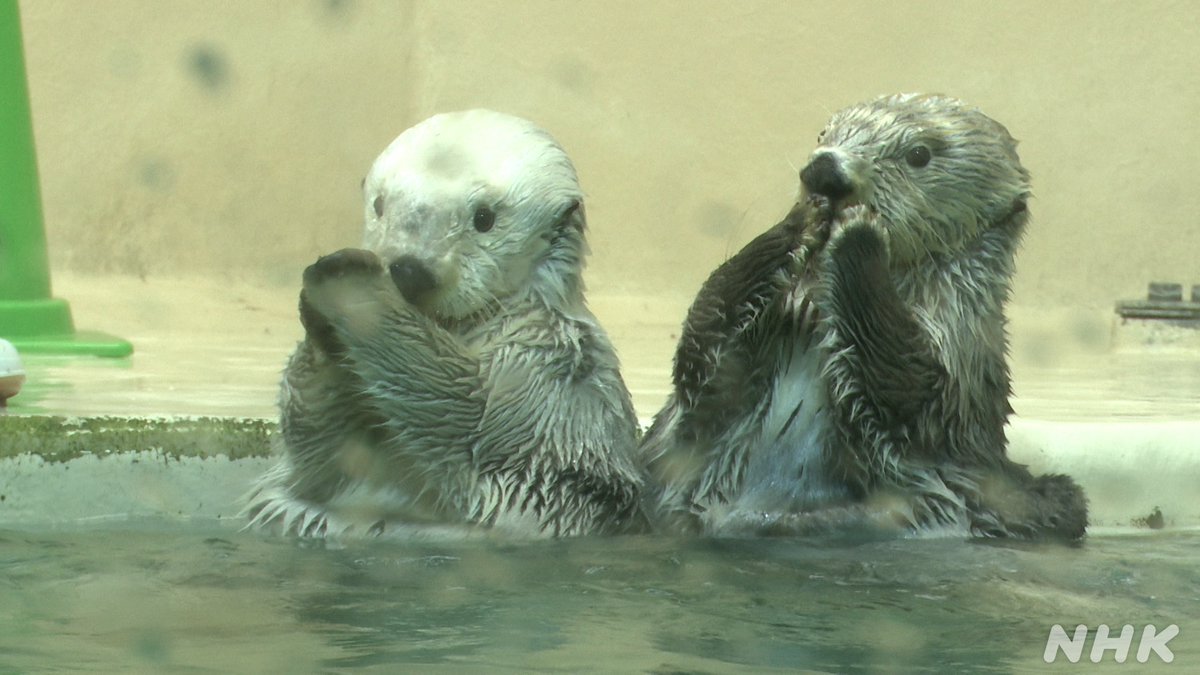 かよこ(@choco_holic) - Twilog (ツイログ)